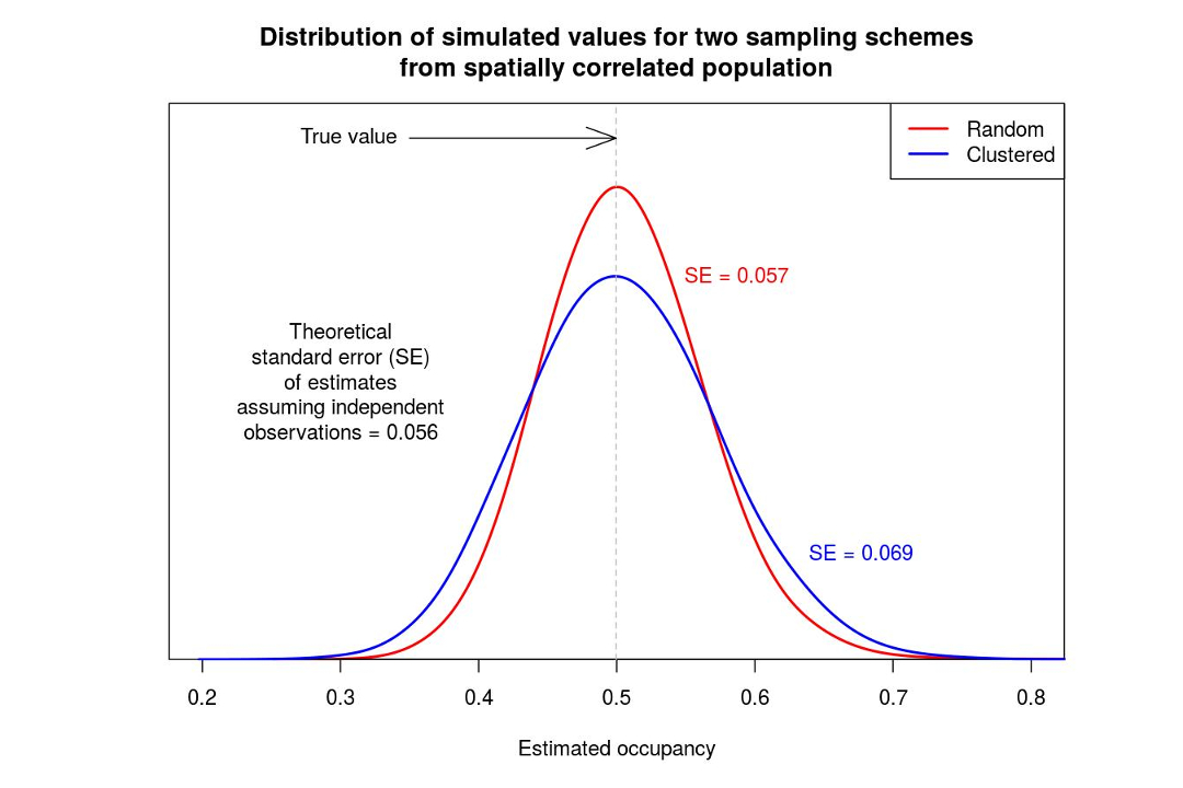 Spatial Correlation And The Independence Assumption With Occupancy